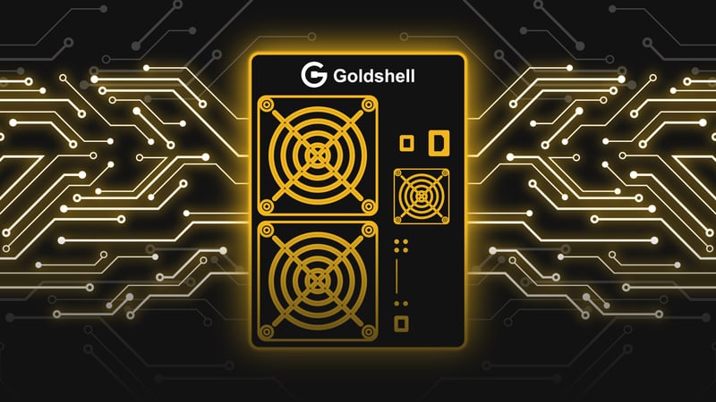 Kaspa Miner Series: An Interview with Goldshell
